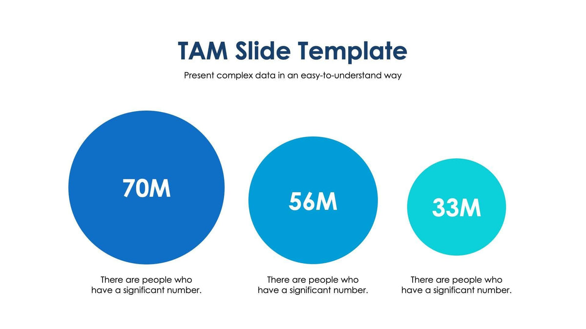 TAM Slide Infographic Template S09042304 – Infografolio