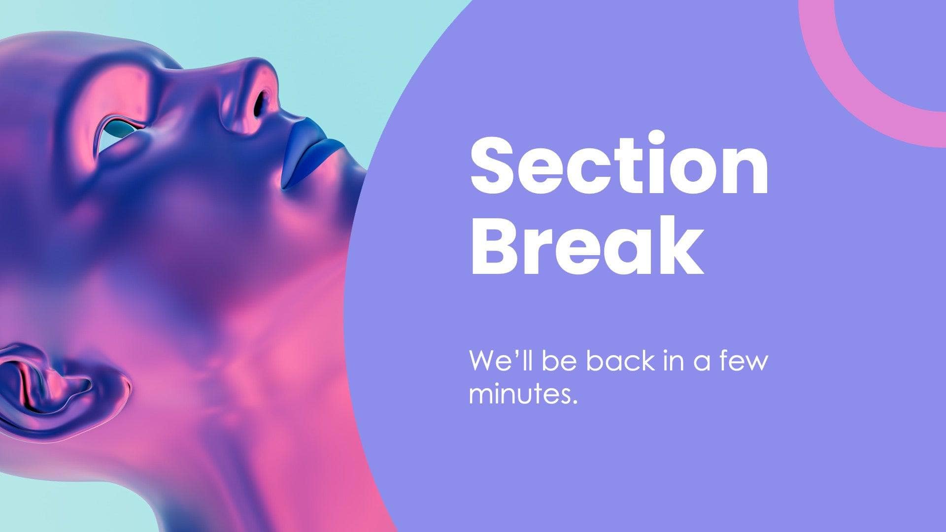 Section Break Slide Infographic Template S10142214 | Infografolio