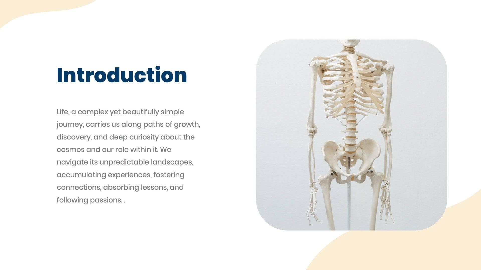 Blue Light and Yellow Simple Anatomy Presentation Template S07252301 ...