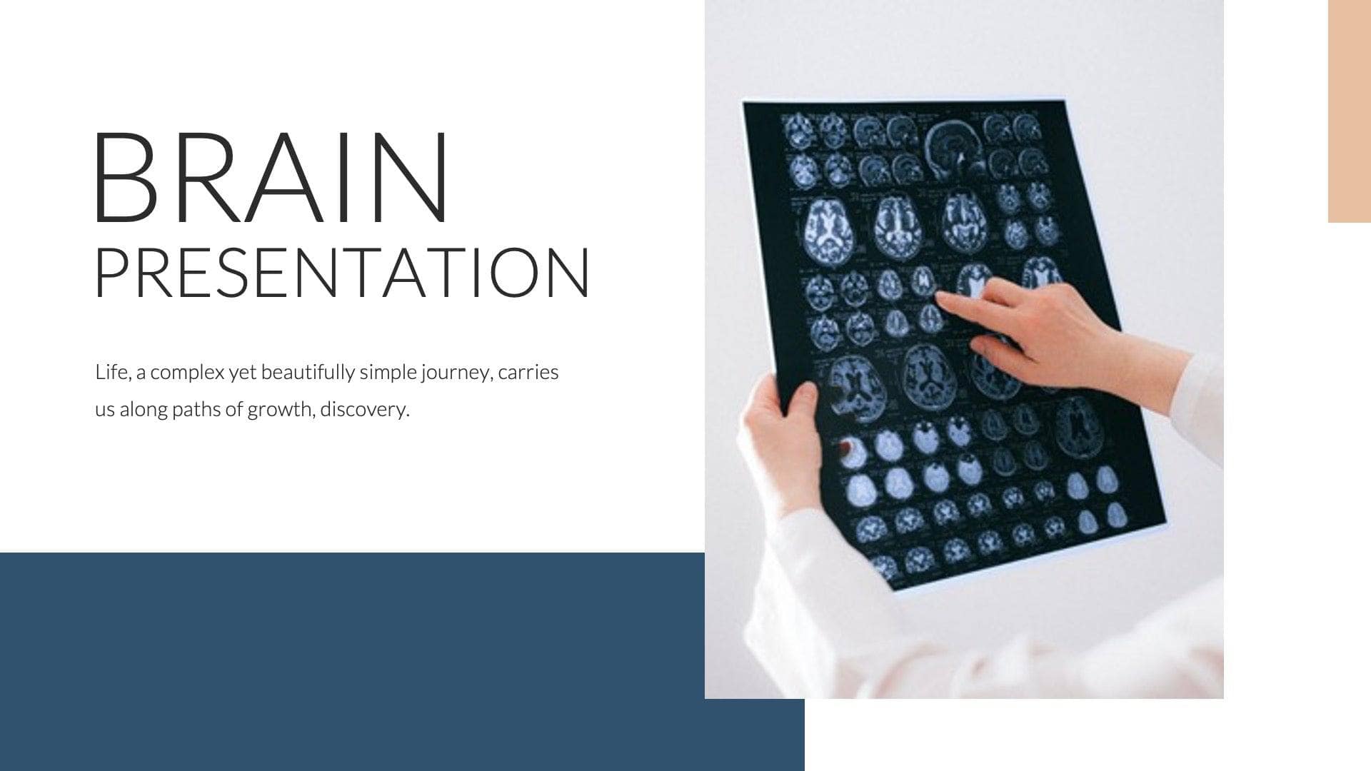 Brain Presentation Template S08152301 | Infografolio