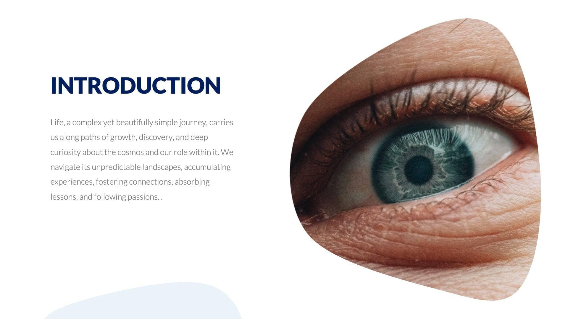 Ophthalmology Presentation Template S08202301 | Infografolio