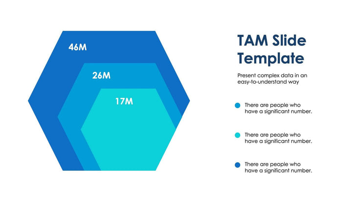 TAM Slide Infographic Template S09042307 – Infografolio