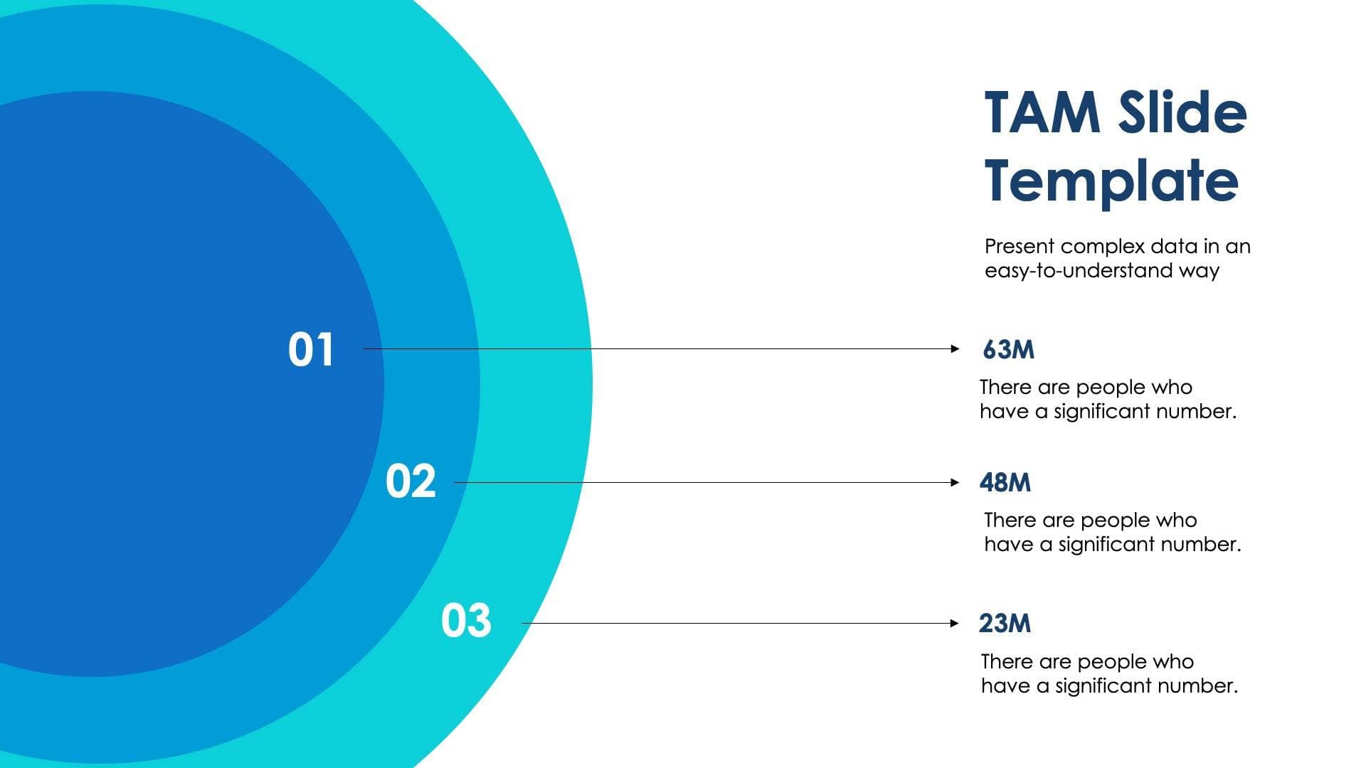 TAM Slide Infographic Template S09042309 | Infografolio