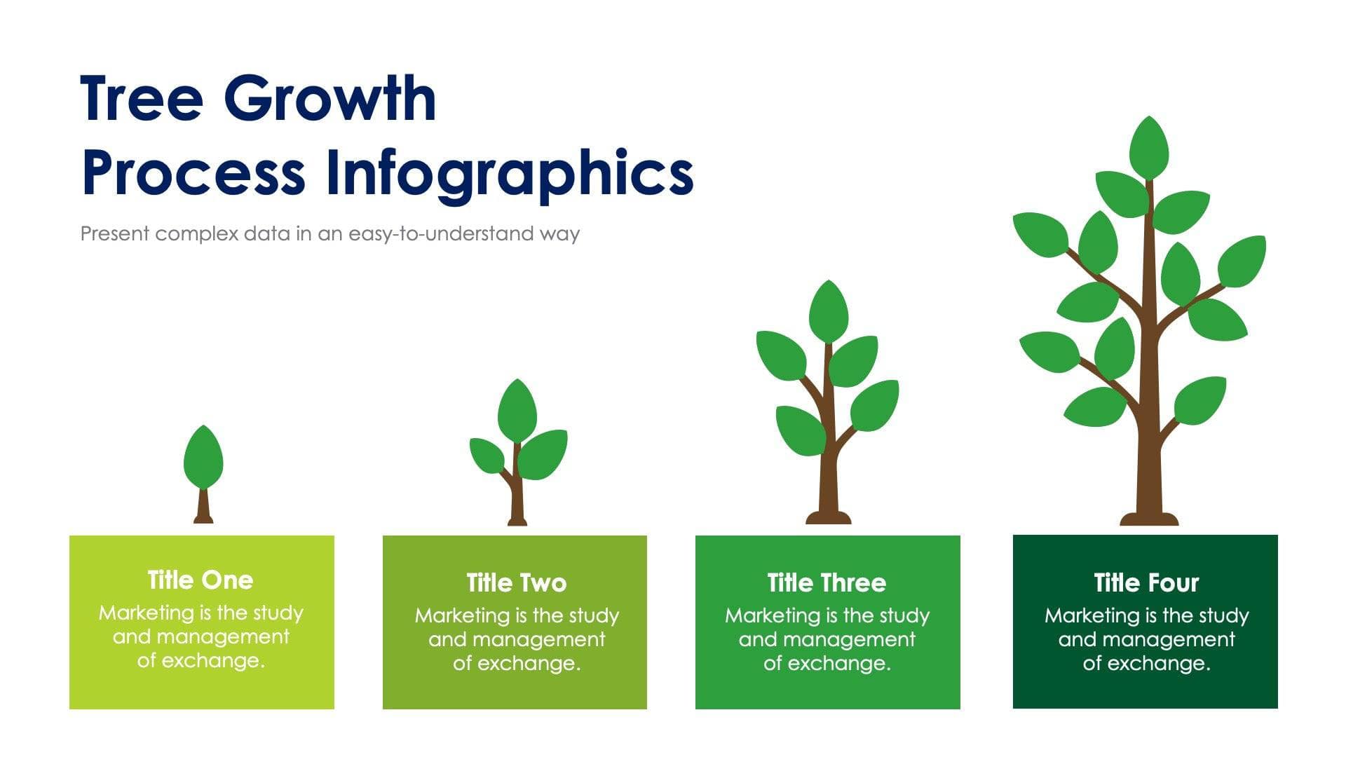 Tree Growth Process Slide Infographic Template S12202304 | Infografolio