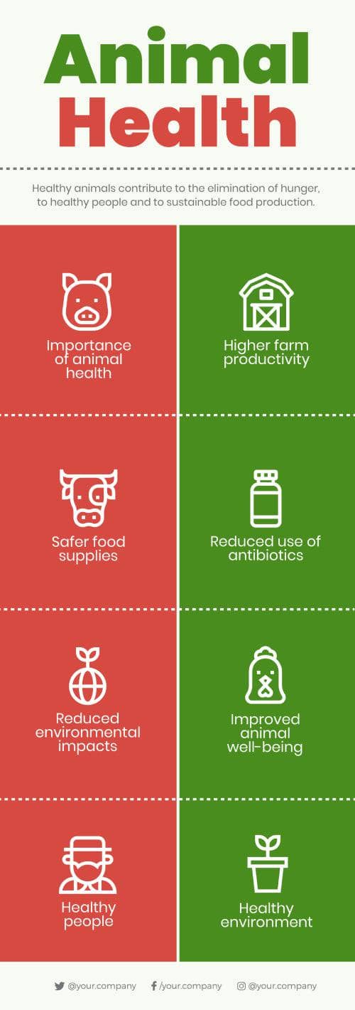 Animal Health Agriculture Infographic Template | Infografolio