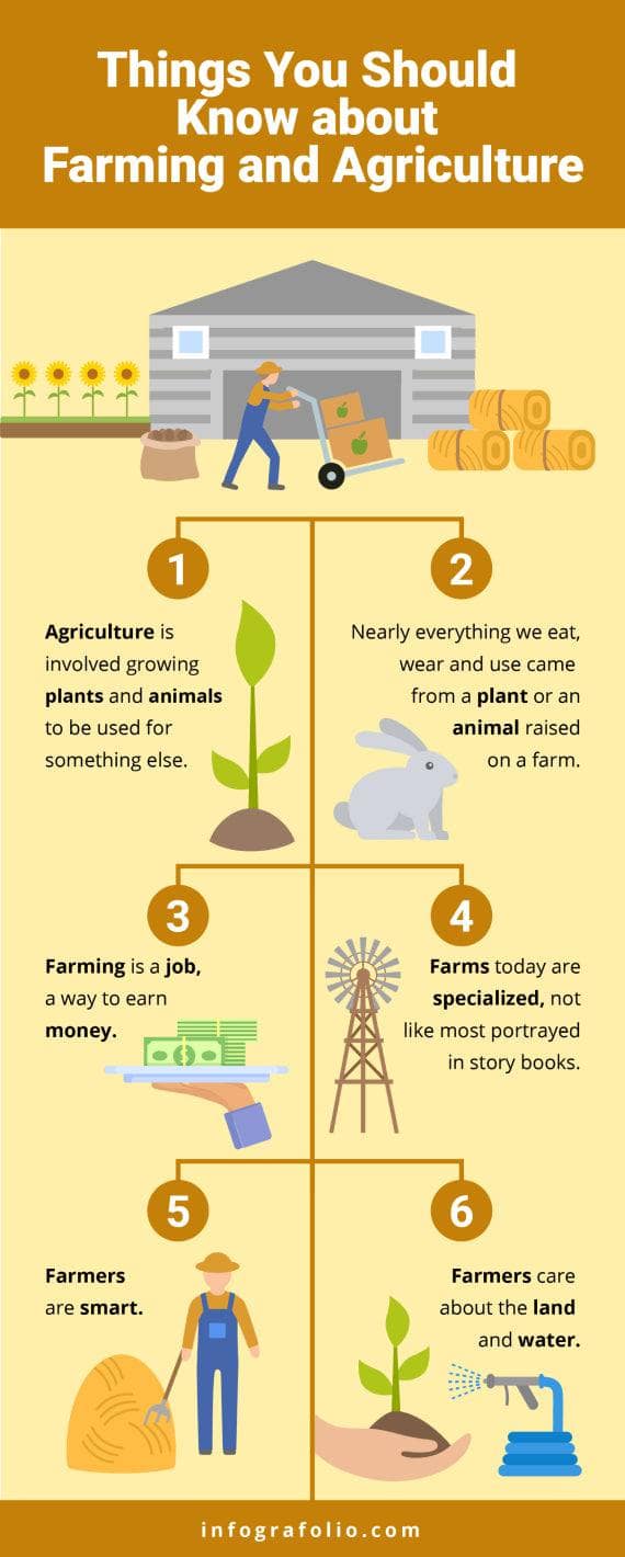Animal Health Agriculture Infographic Template | Infografolio