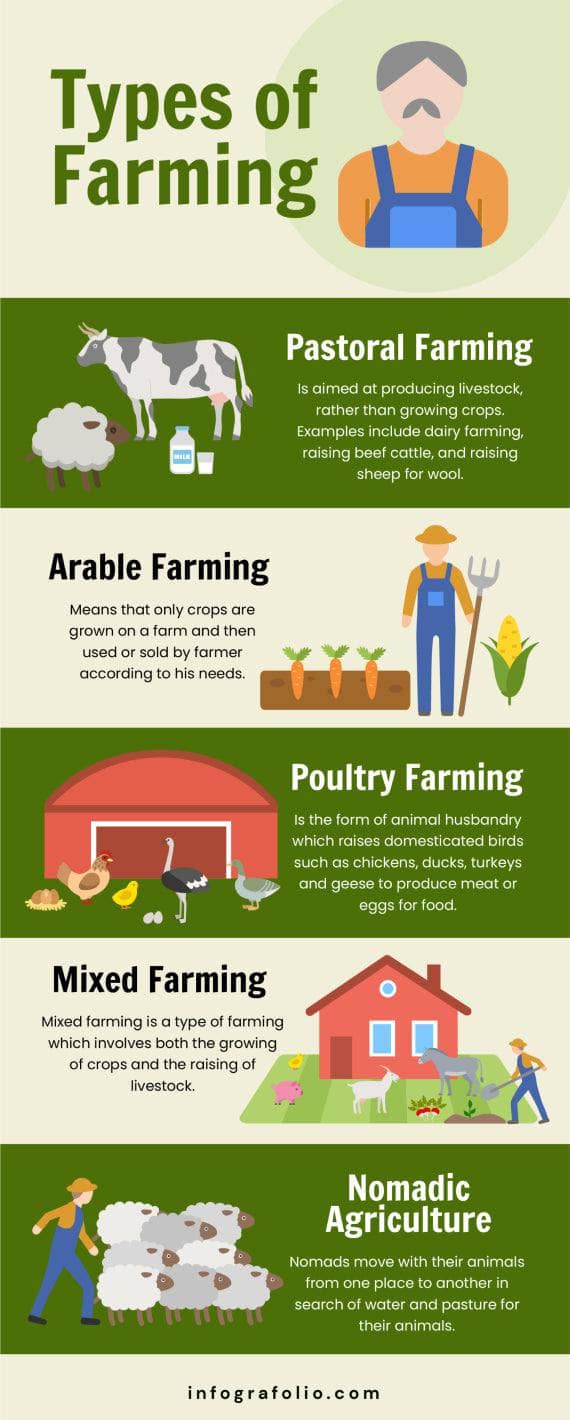 Types of Farming Agriculture Infographic Template – Infografolio