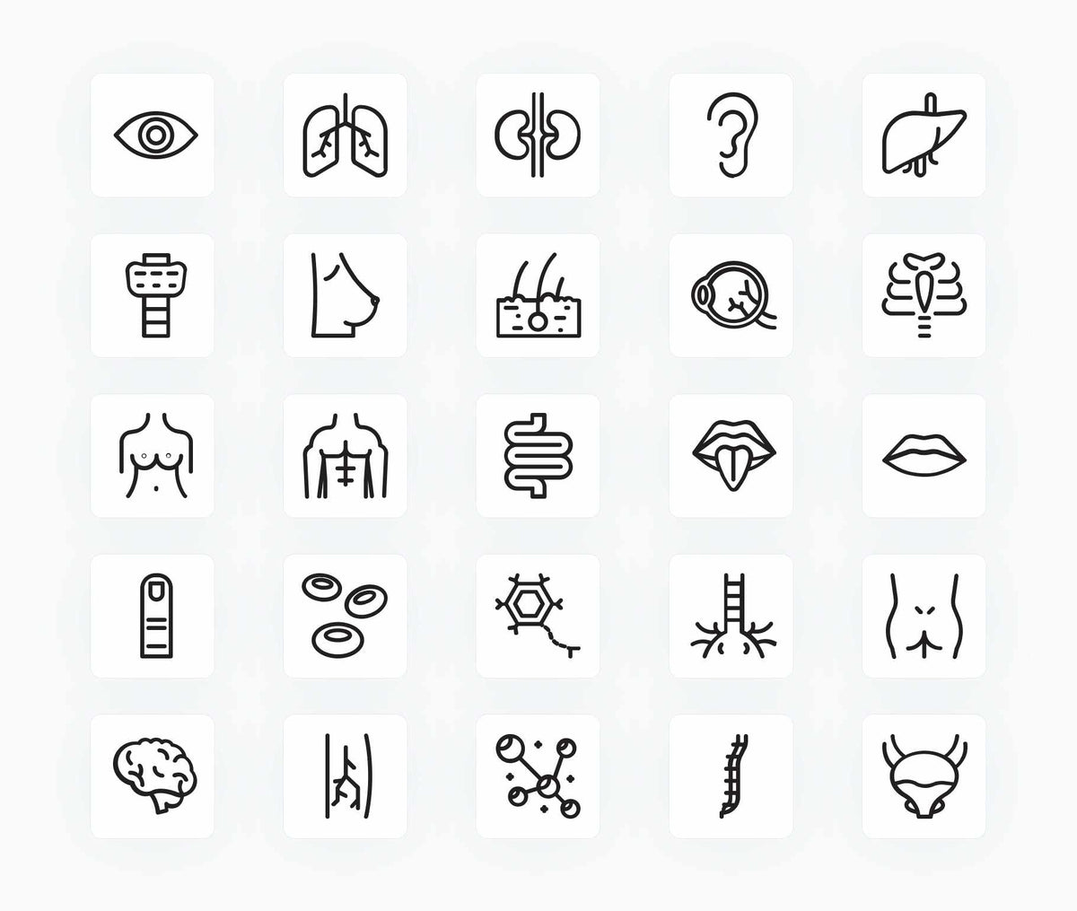 Anatomy Outline Vector Icons S12172101 – Infografolio