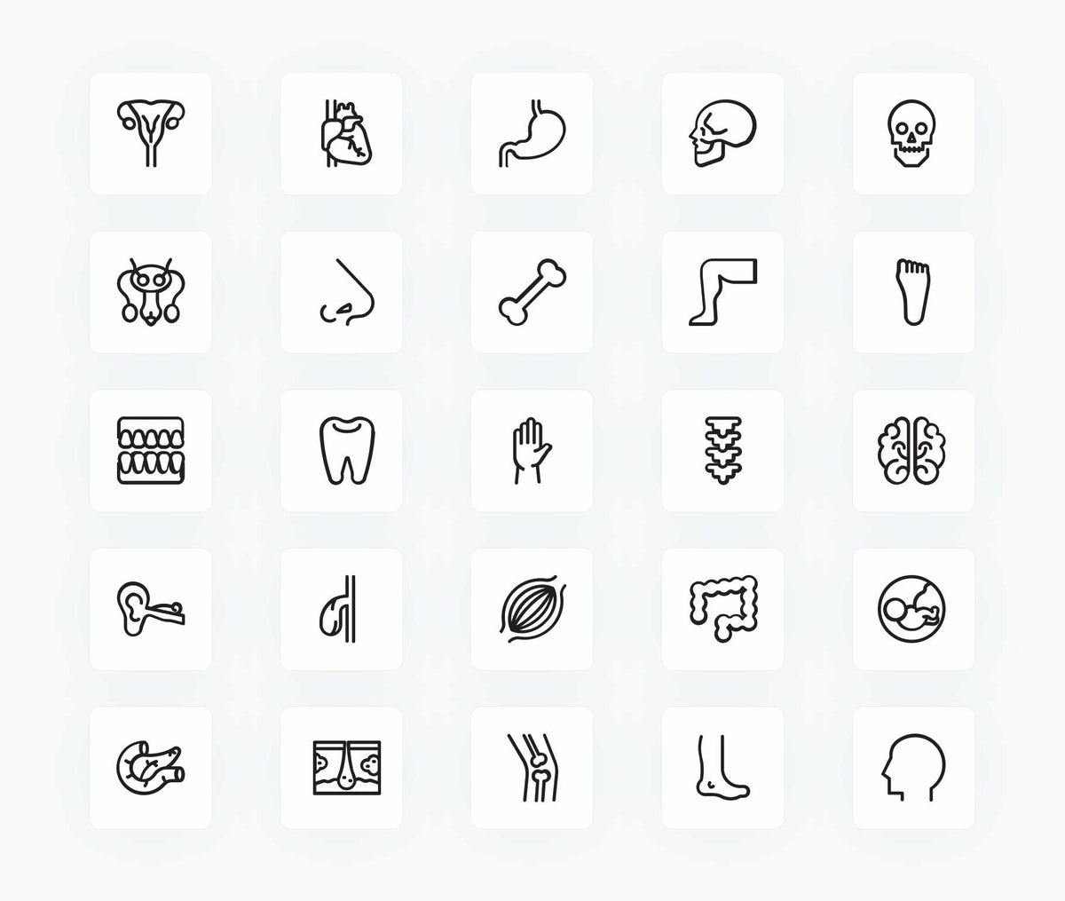 Anatomy Outline Vector Icons S12172102 – Infografolio