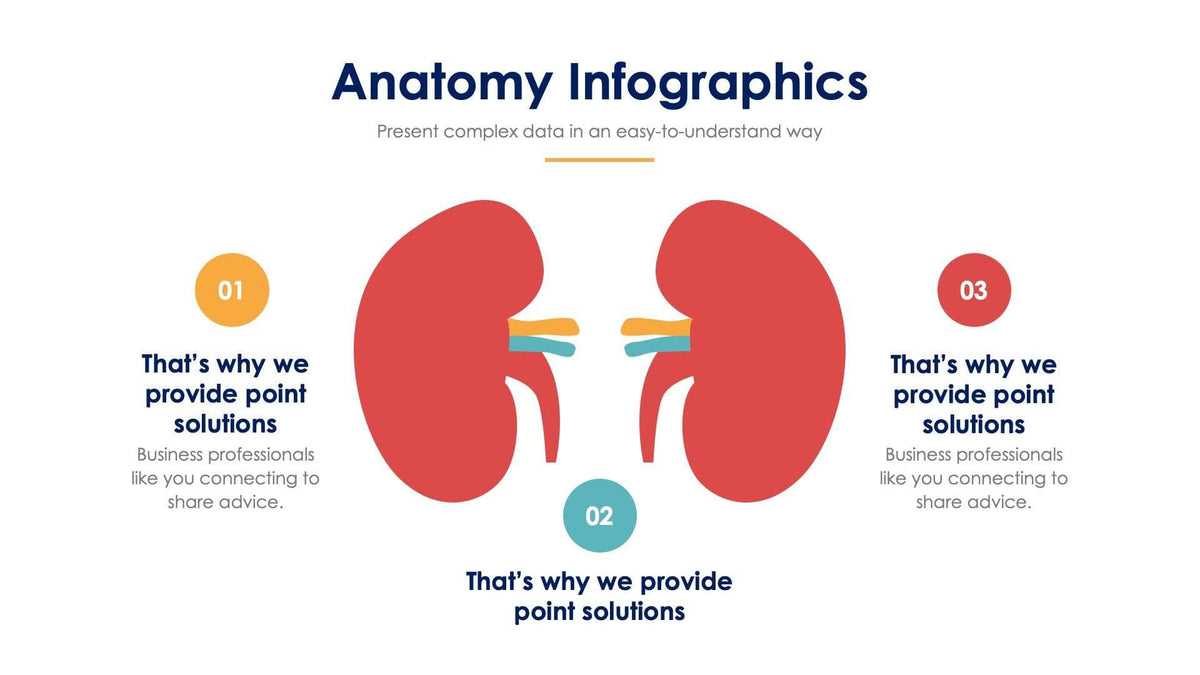 Anatomy Slide Infographic Template S01122207 – Infografolio
