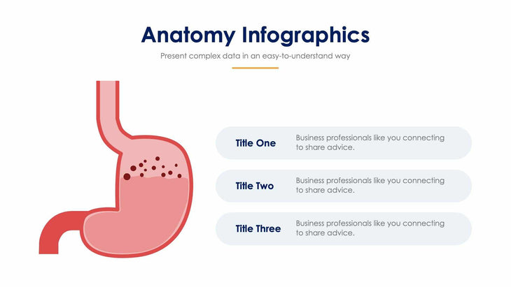 Anatomy Slide Infographic Template S01122208 – Infografolio