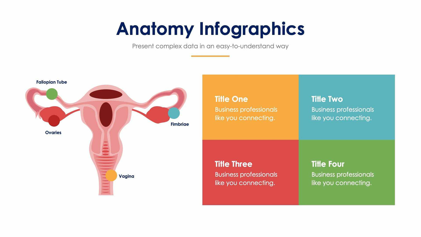 Anatomy Slide Infographic Template S01122210 – Infografolio