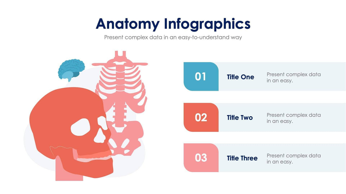 Anatomy Slide Infographic Template S07112202 – Infografolio