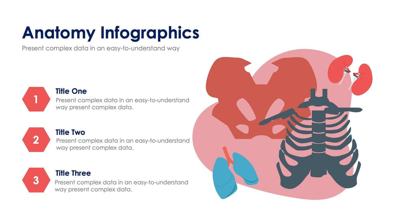 Anatomy Slides | Infografolio