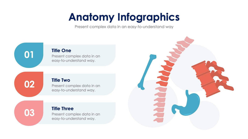 Anatomy Slides | Infografolio