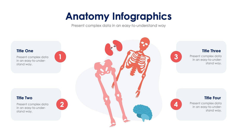Anatomy Slides | Infografolio
