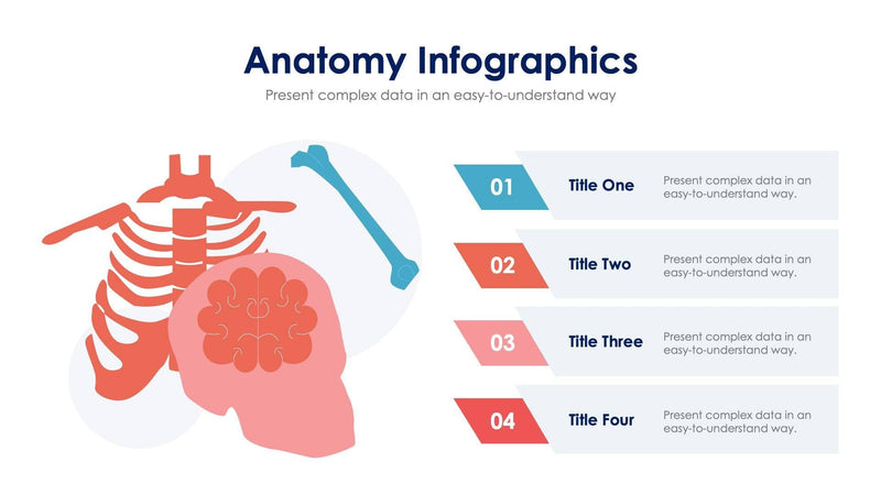 Anatomy Slides | Infografolio