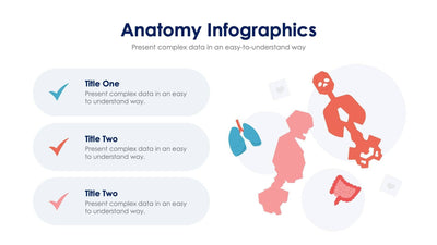 Anatomy Slides | Infografolio