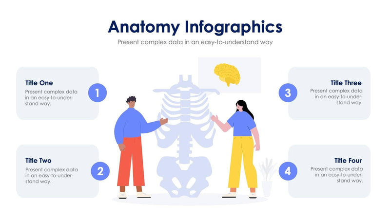Anatomy Slides | Infografolio