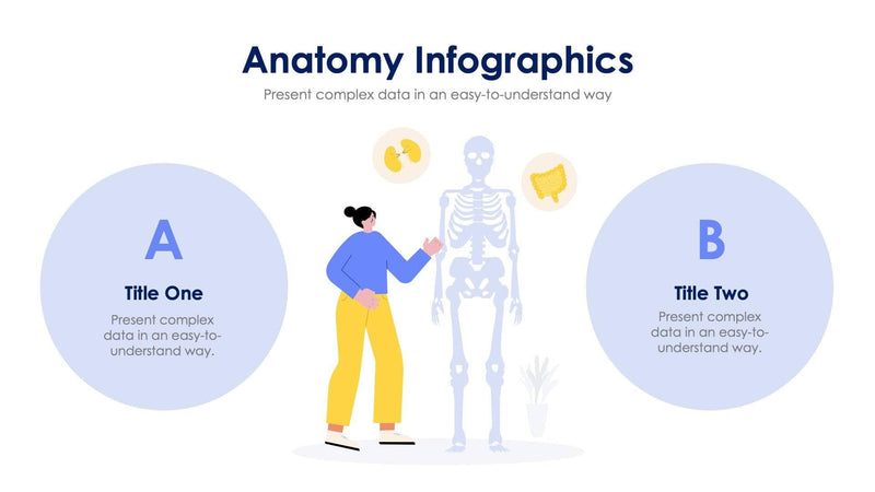 Anatomy Slides | Infografolio