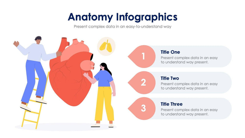 Anatomy Slides | Infografolio