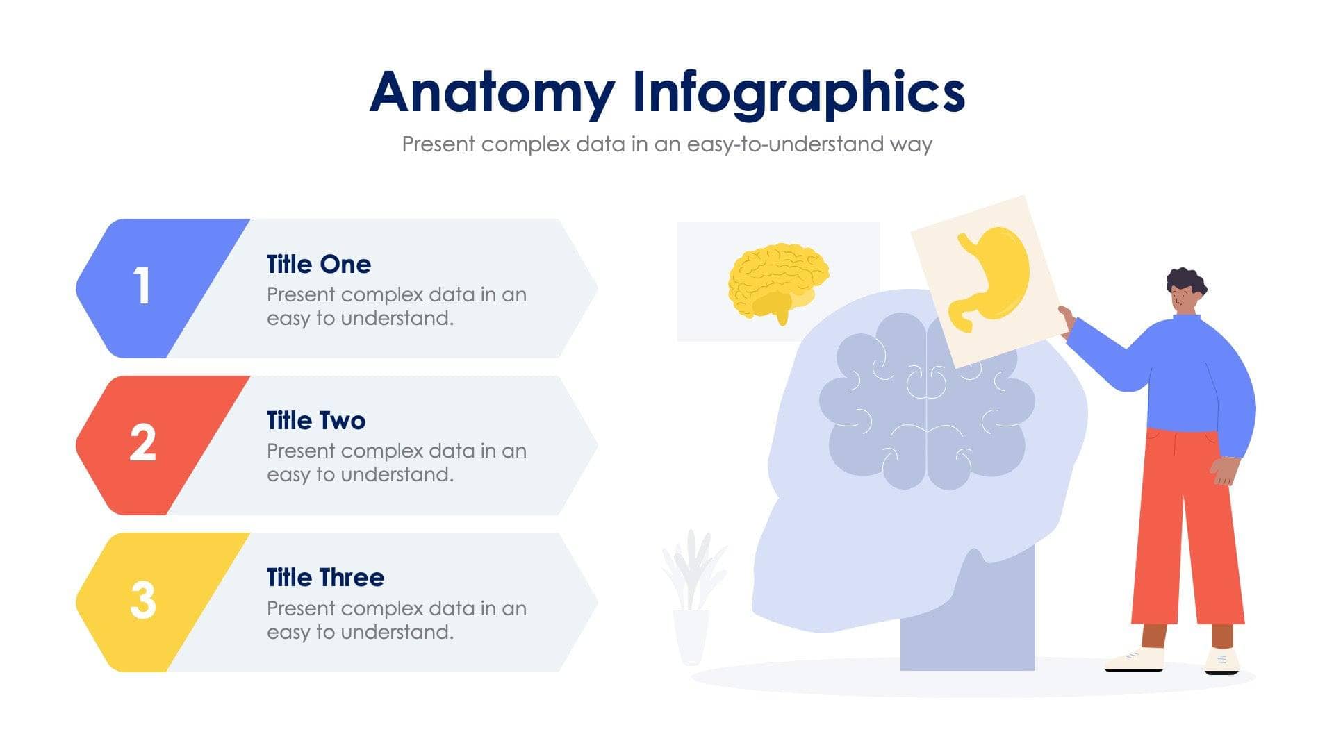 Anatomy Slide Infographic Template S07112218 | Infografolio