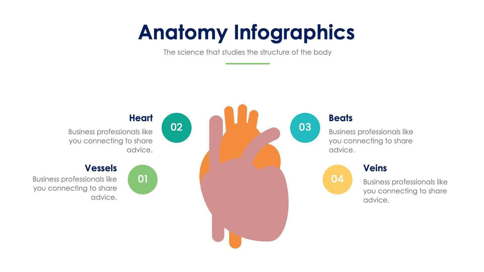 Anatomy Slide Infographic Template S11192106 – Infografolio