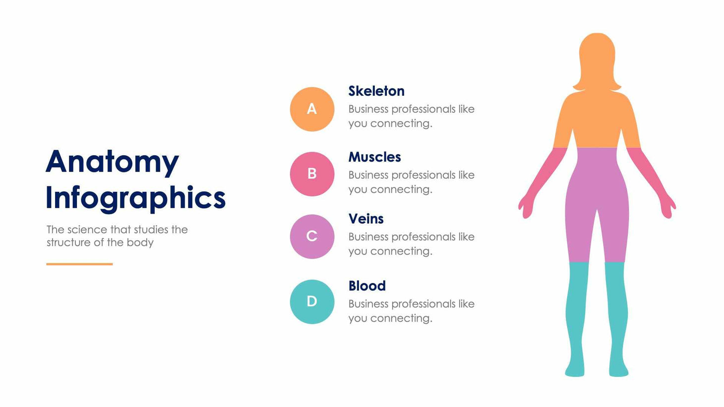 Anatomy Slide Infographic Template S11192122 – Infografolio