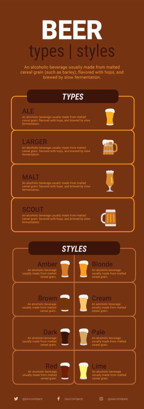 Beer Types Infographic Template | Infografolio
