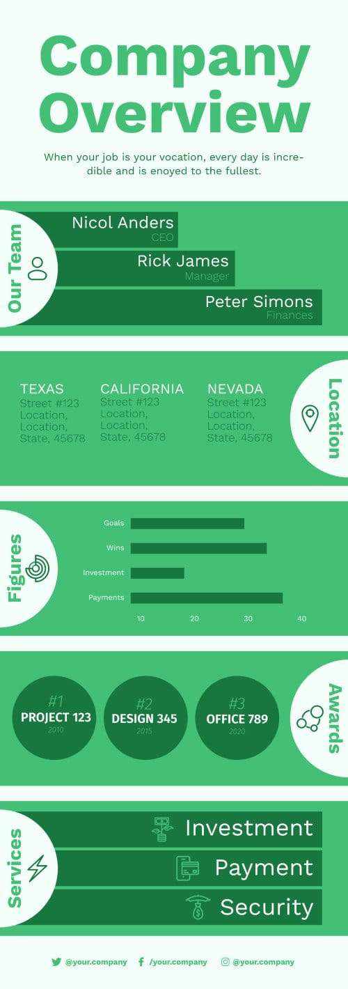 Company Overview Infographics | Infografolio