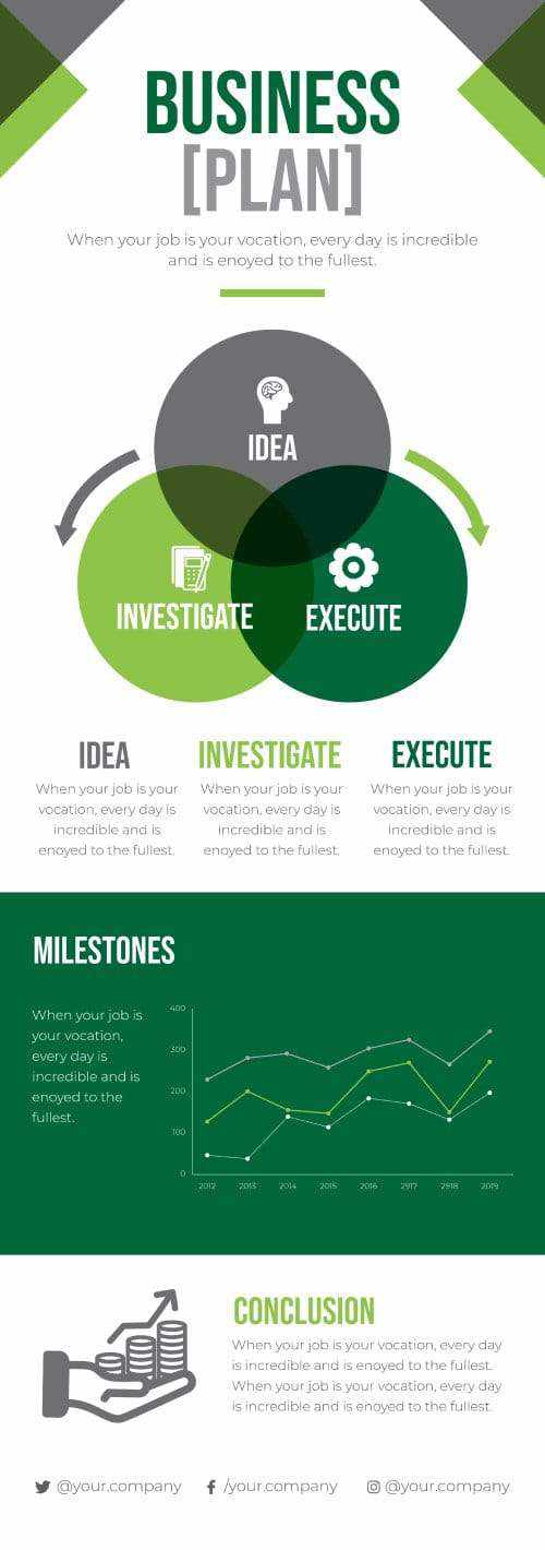 Company Overview Infographics – Infografolio