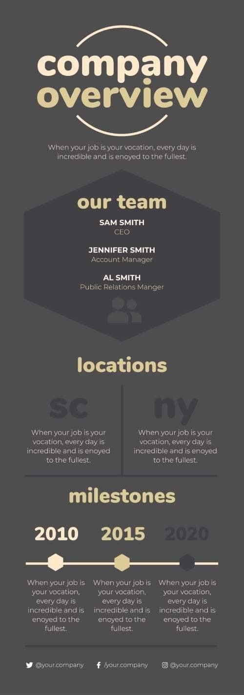 Dark Company Overview Infographic Template | Infografolio