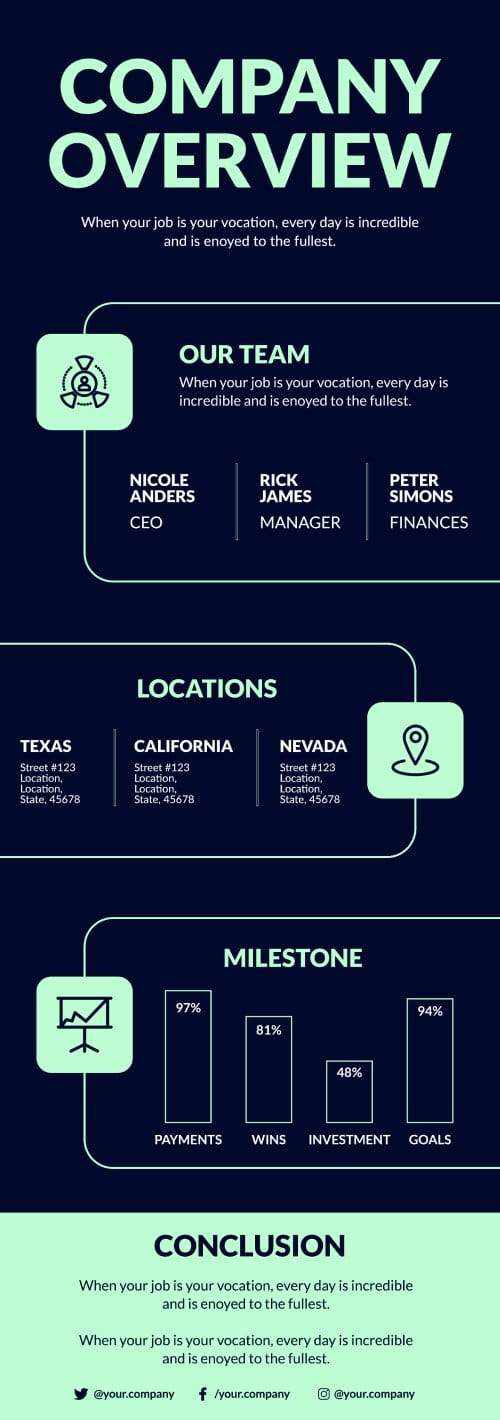 Company Overview Infographics – Infografolio