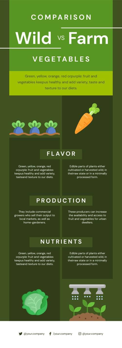 Wild vs Farm Comparison Vegetables Infographic Template | Infografolio