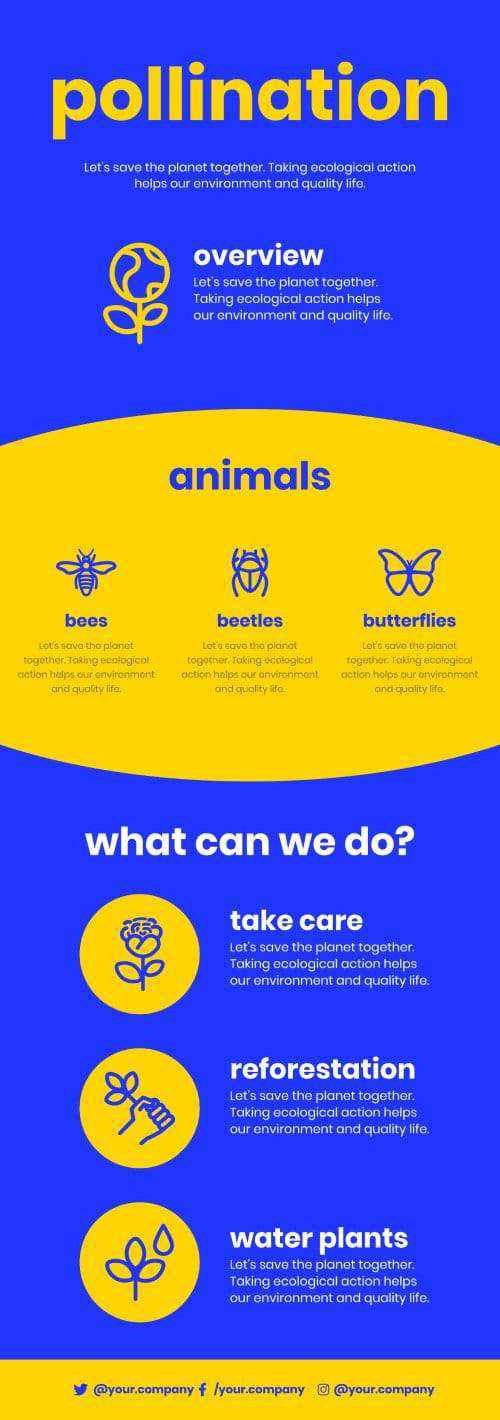 Pollination Environment Infographic Template – Infografolio