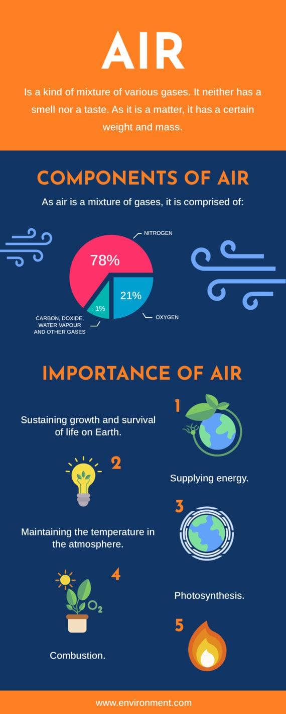 Air Environment Infographic Template | Infografolio