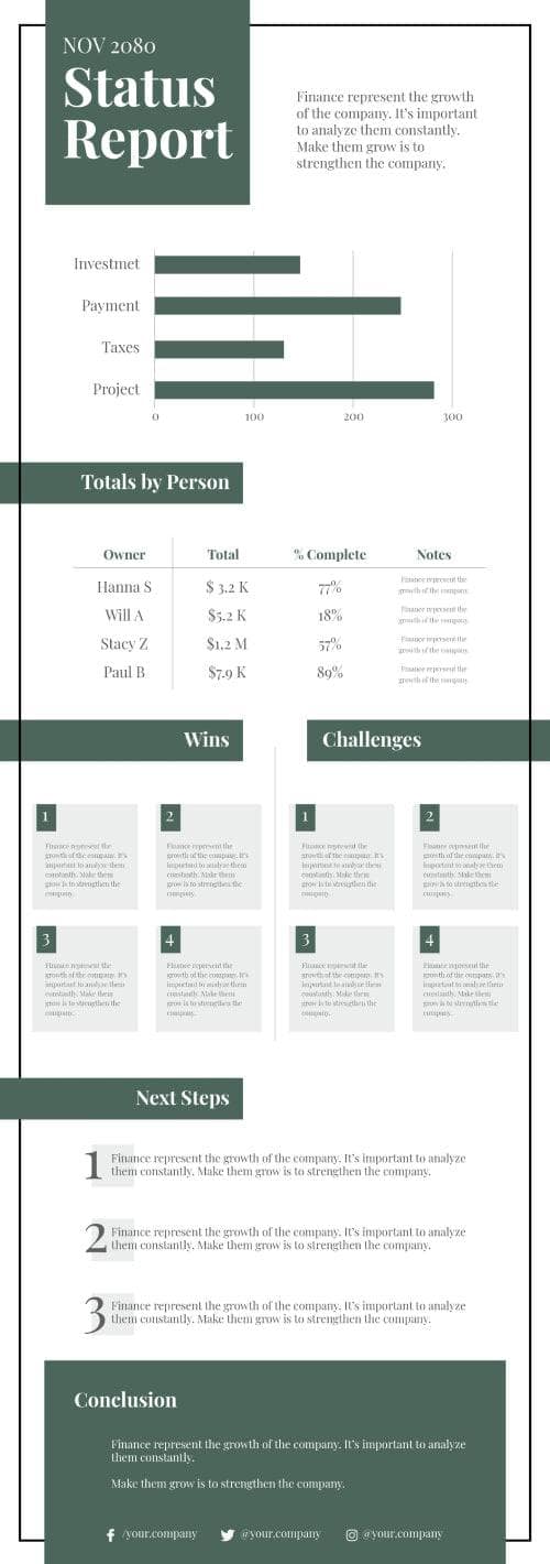 Status Report Finance Infographic Template – Infografolio