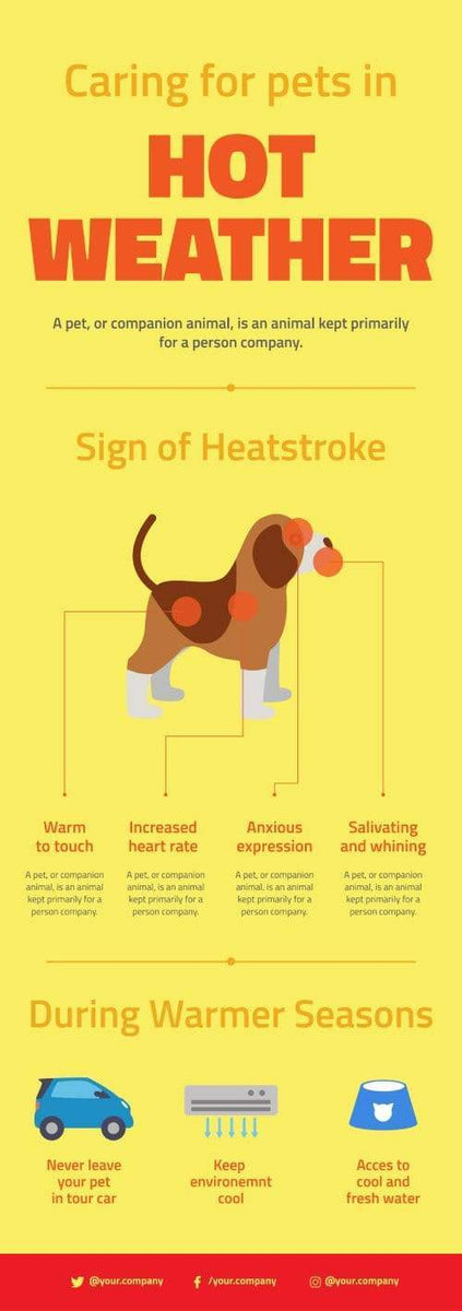 Caring for Pets in Hot Weather Infographic Template – Infografolio