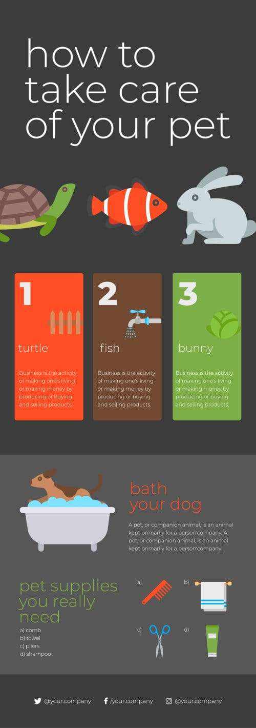 How to Care of Your Pet Infographic Template | Infografolio