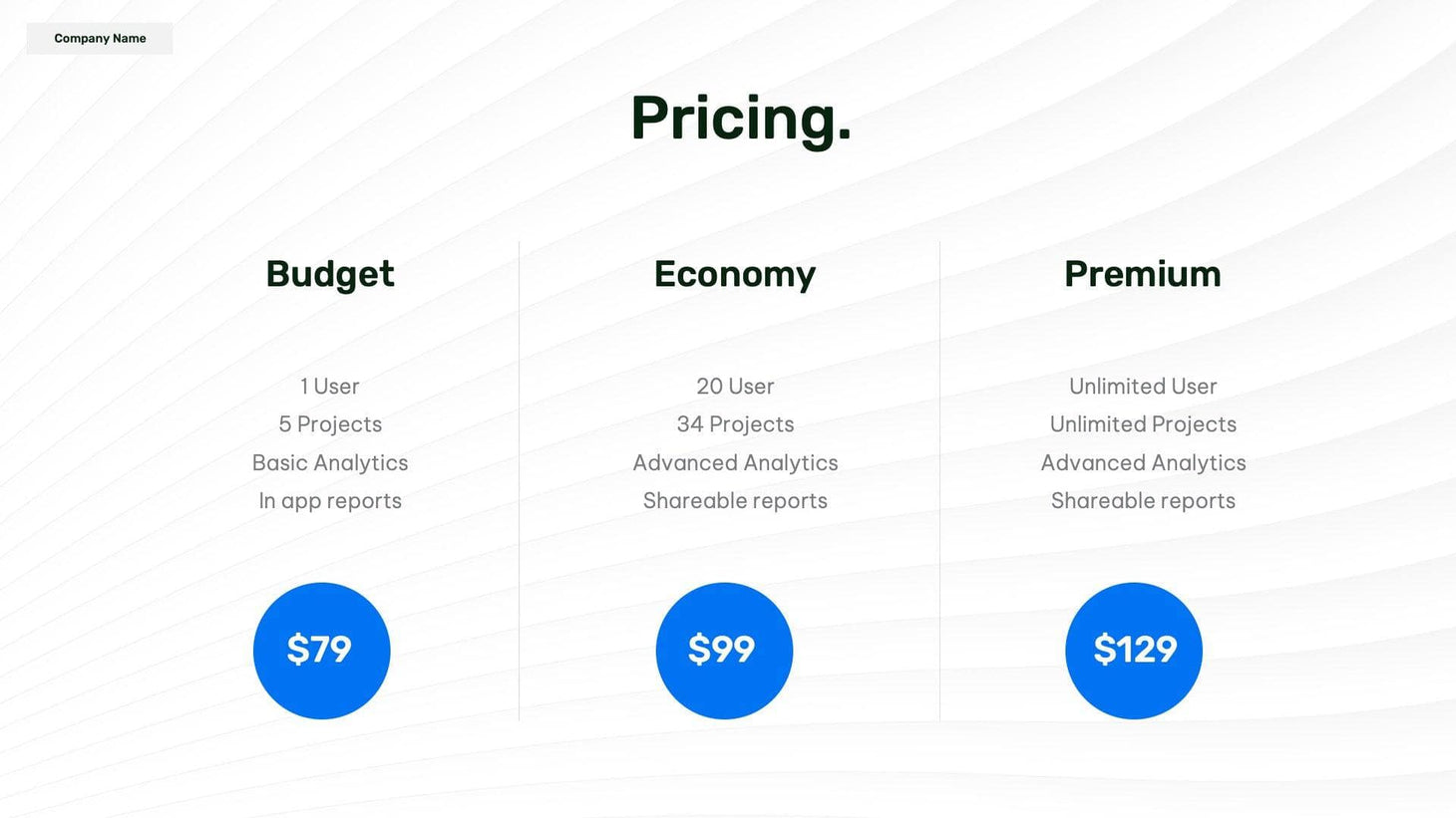 Pricing Slide Template S11082201 – Infografolio