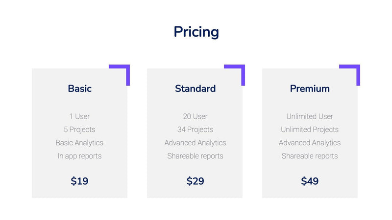 Pricing Model Slide Infographic Template S10052207 | Infografolio