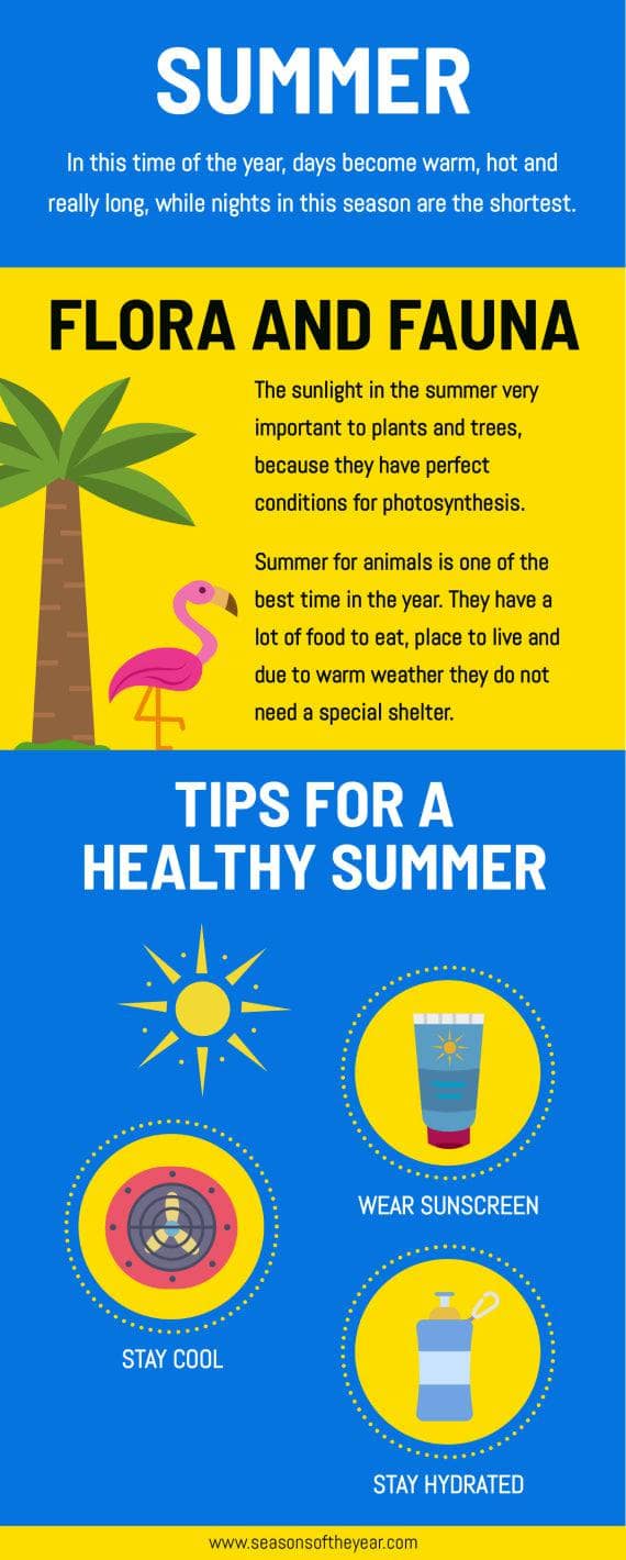 Summer Season Tips Infographic Template | Infografolio
