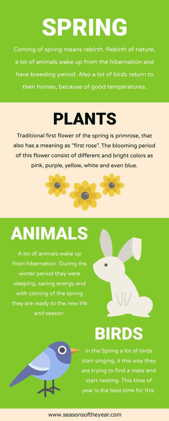 Green Spring Seasons of the Year Infographic Template – Infografolio