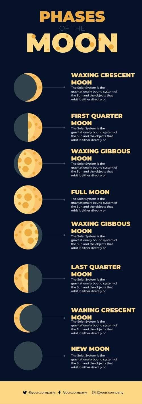 Phases of the Moon Space Infographic Template | Infografolio