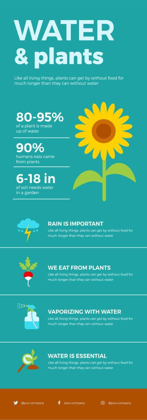 Water and Plants Infographic Template | Infografolio